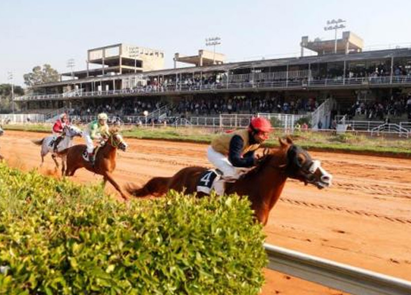الجمهورية | قرار بوقف المراهنات في سباق خيل مدينة بيروت بصورة موقتة