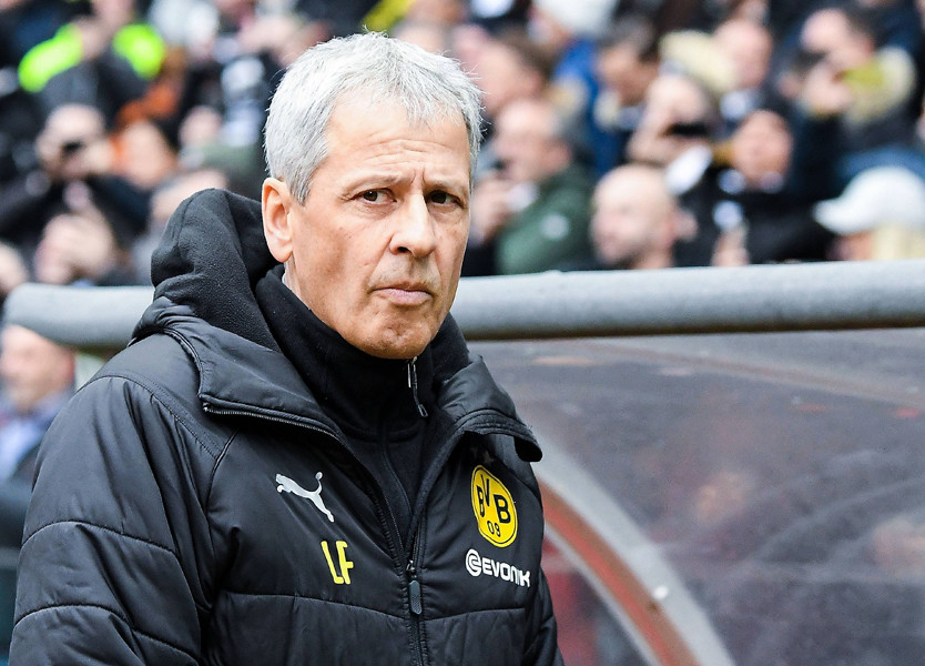 الجمهورية | فافر يمدّد مع «الأصفر والأسود»