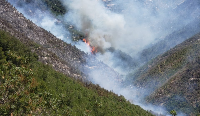 الجمهورية | بعد خروجه عن السيطرة... جهودٌ لإطفاء الحريق الكبير في عكار
