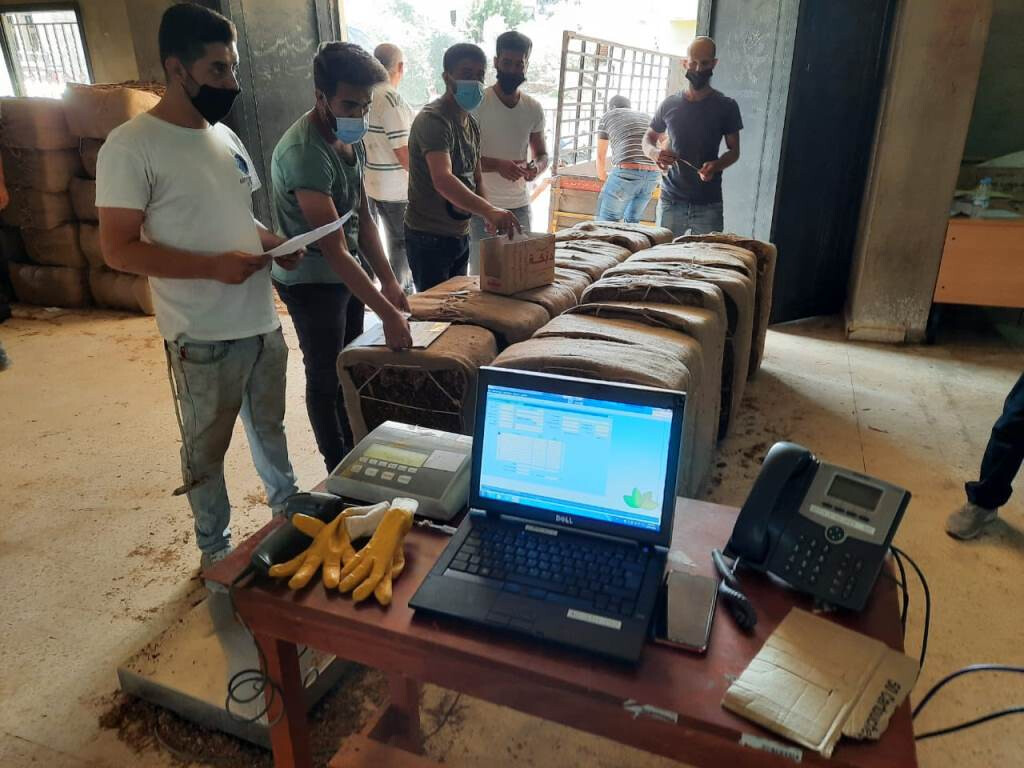 الجمهورية | الريجي باشرت استلام محصول التبغ في مراكز الجنوب