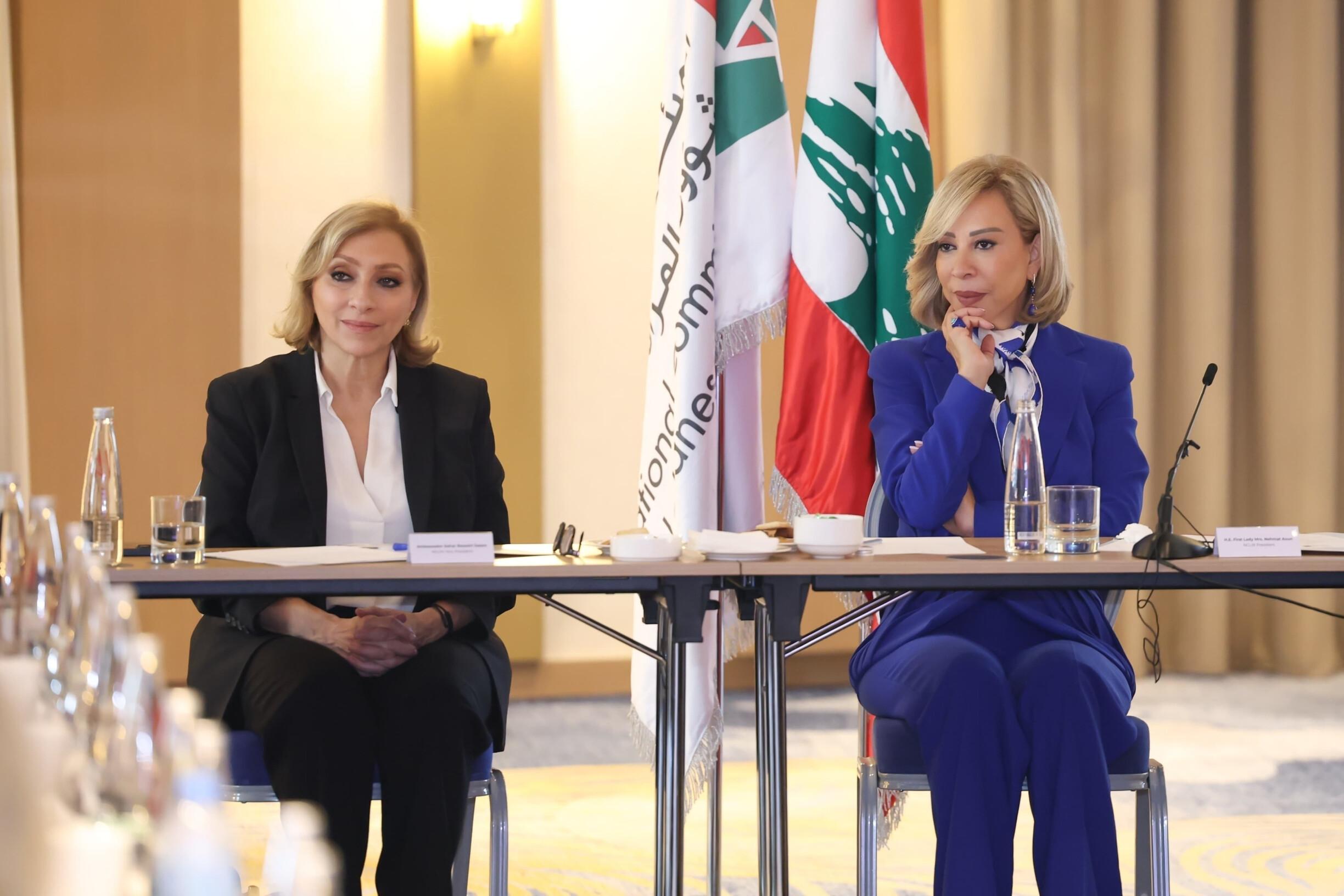 الجمهورية | اللبنانية الأولى في لقاء مع شركاء الهيئة الوطنية لشؤون ...